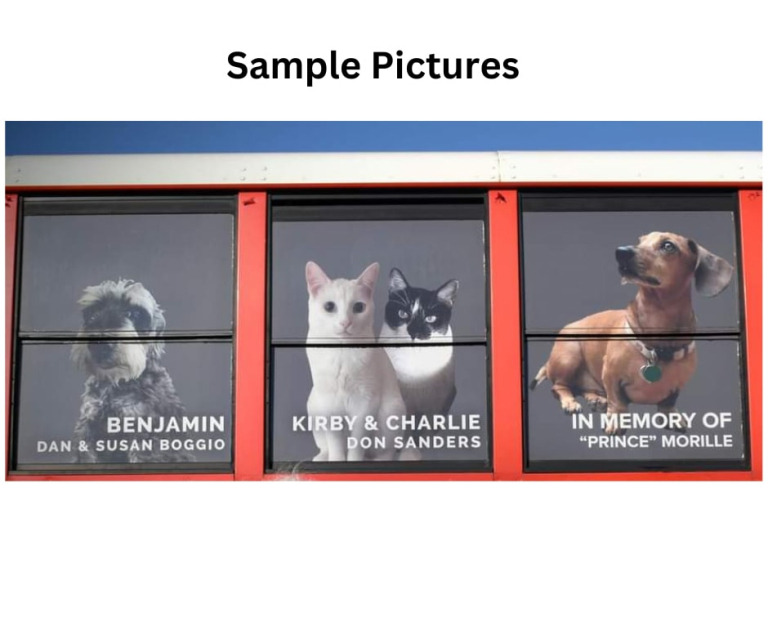 Donate - Humane Society of Delaware County